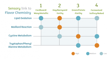 The Science of Taste & Nutrition – Kerry Health And Nutrition Institute