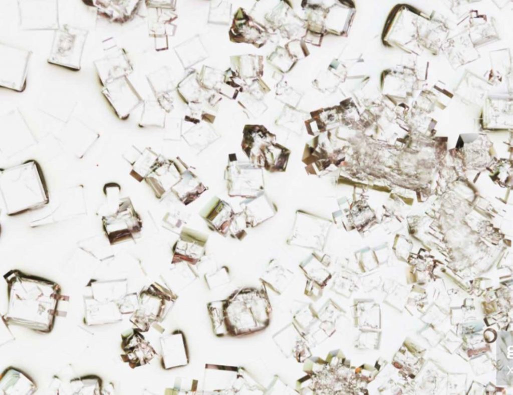 Sodium Reduction Initiatives Across the Globe – KHNI