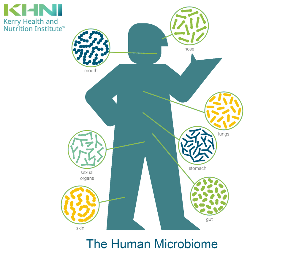 The Human Microbiome: Beyond Digestive Health – KHNI