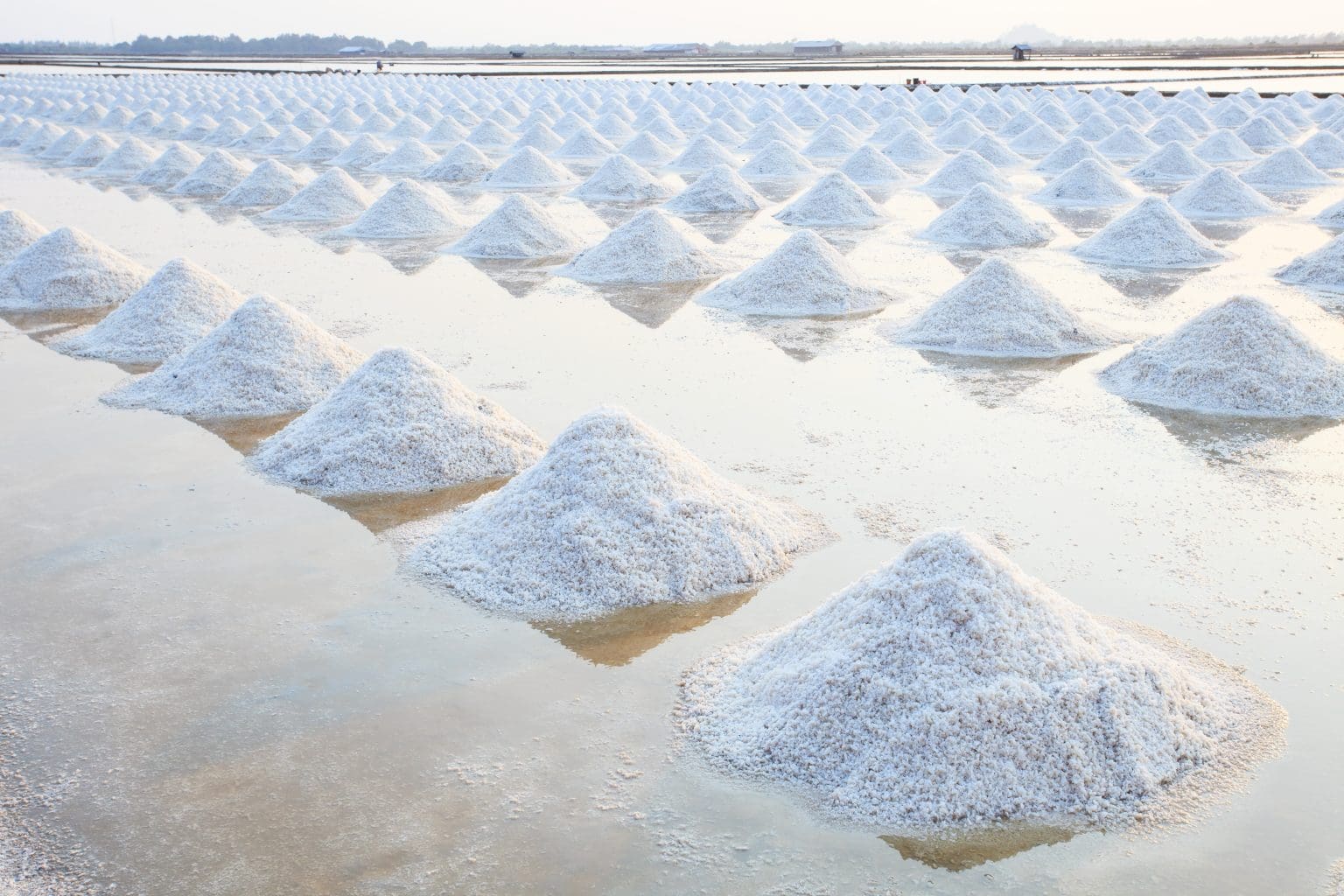 Reducing Salt Intake: What’s Happening Around the World