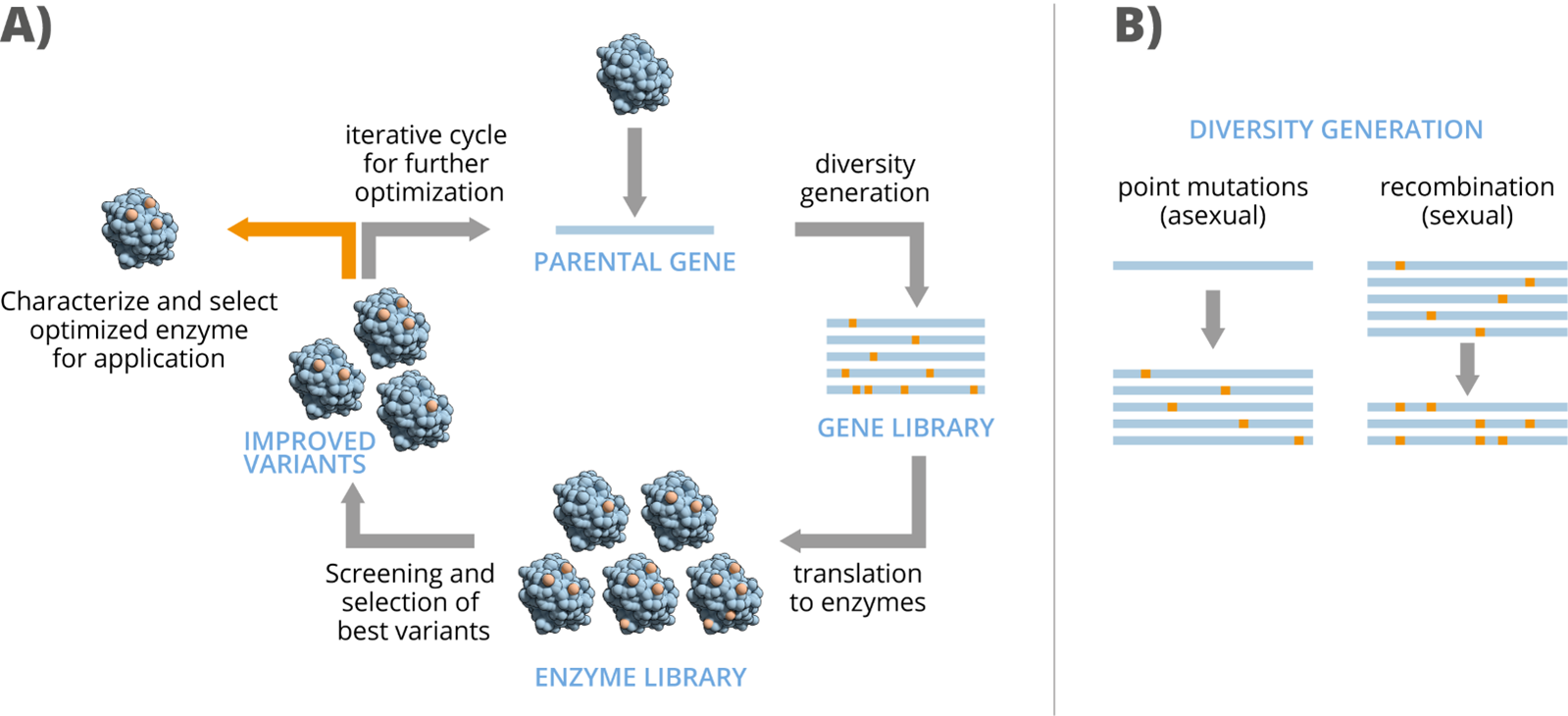 The Future of Food Powered by Enzyme Technology - KHNI