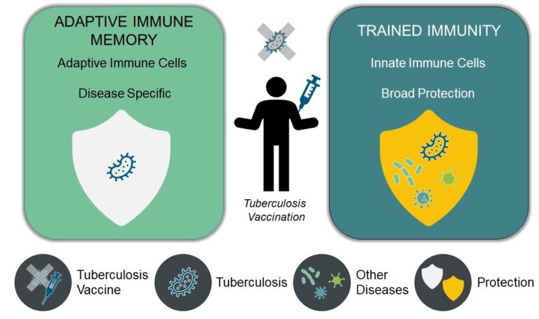 Training Your Immune System: Spotlight on Innate Immunity – KHNI