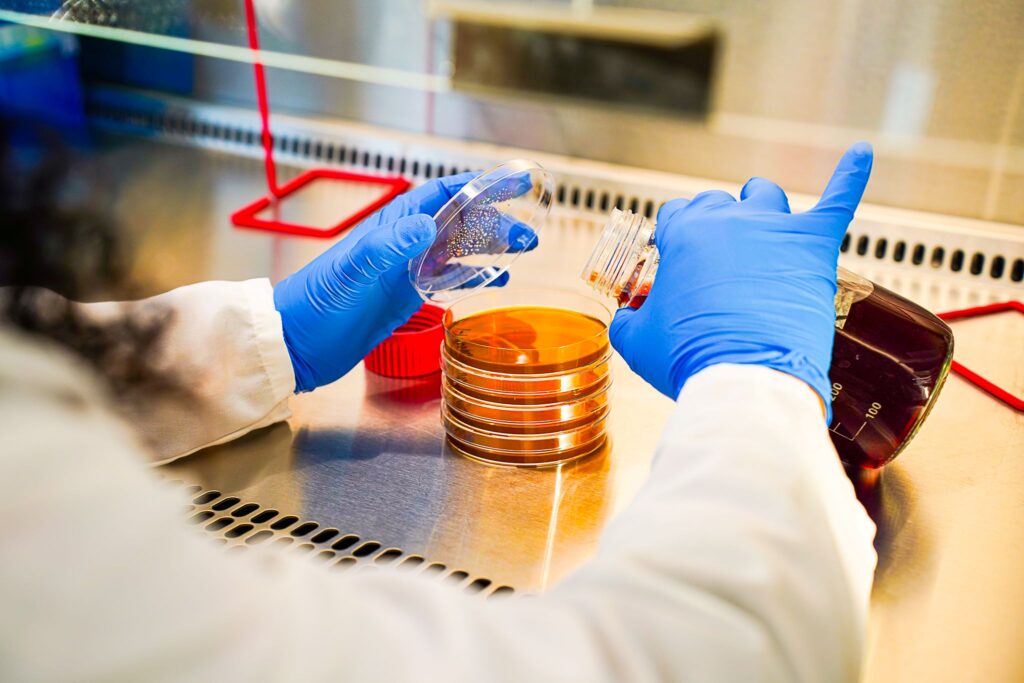 A Sustainable Way for Pathogen Control in the Meat Industry – KHNI