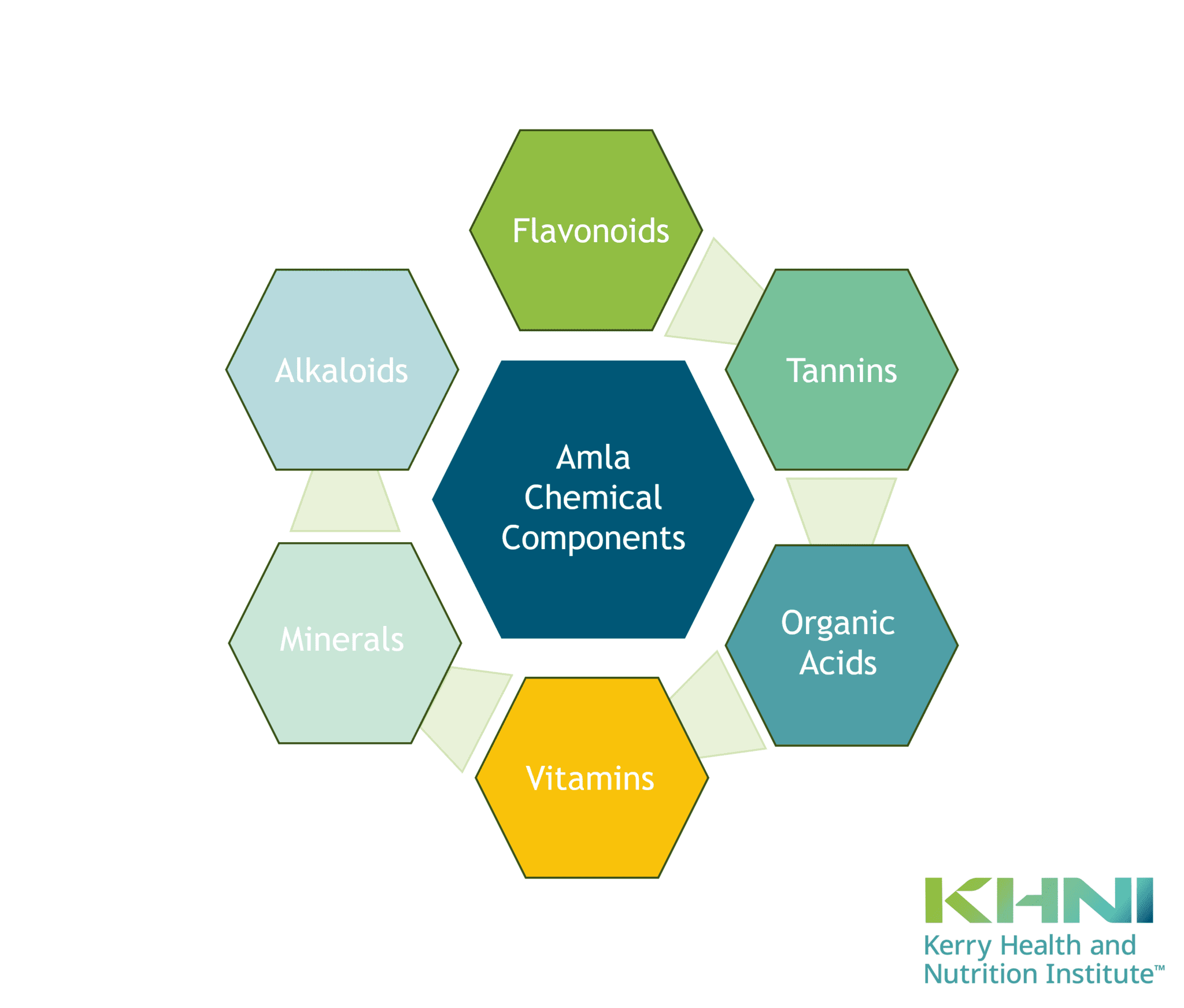 Amla, the Indian Gooseberry: An Overview of the Nutritional Benefits – KHNI