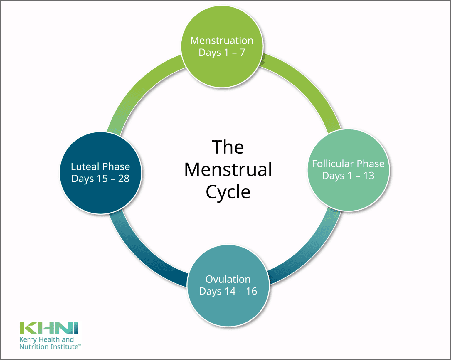 The Hormone Lifecycle Journey: From Menstruation to Menopause – KHNI