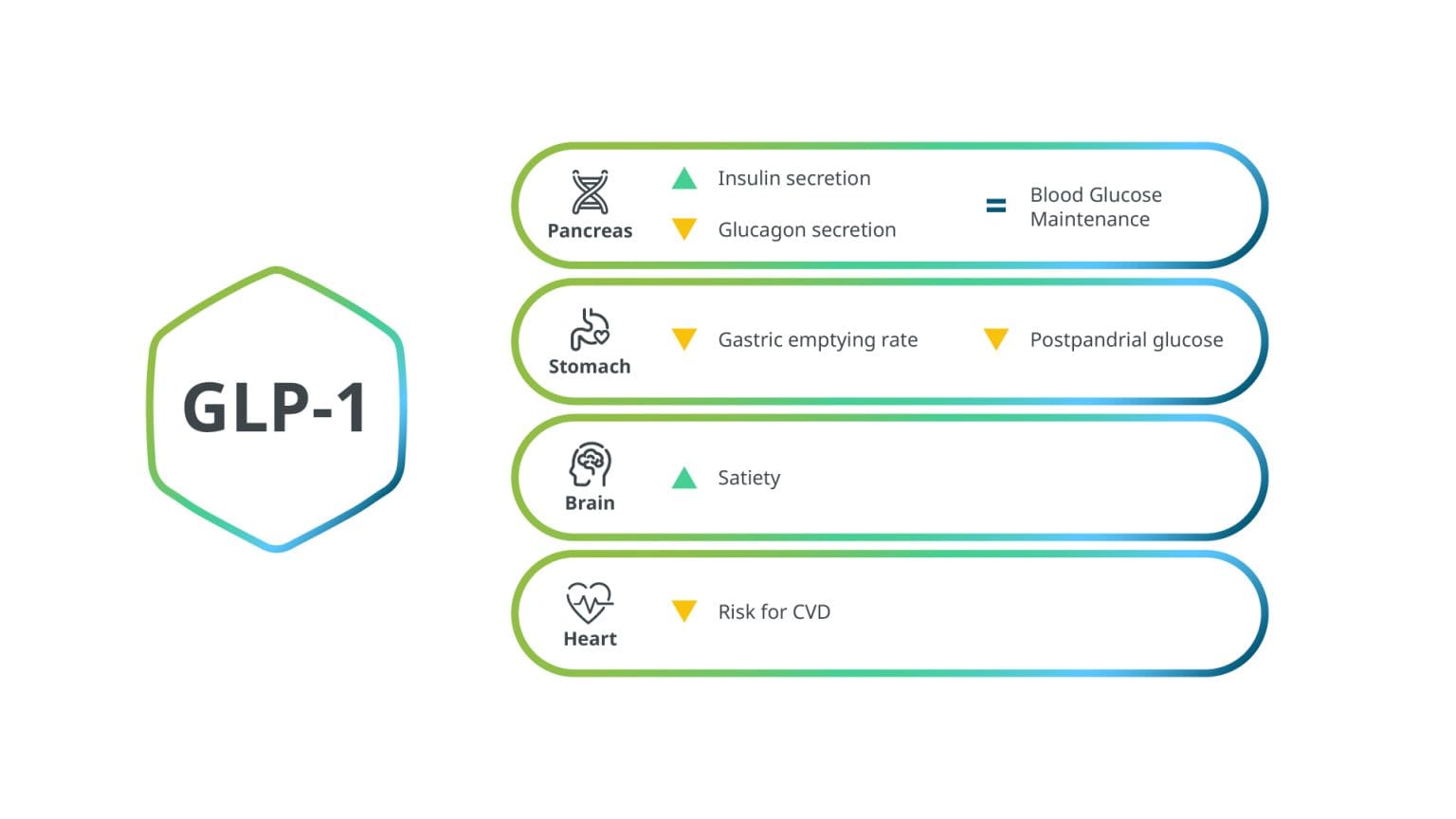 GLP-1 Drugs: Bridging Satiety, Nutrition, and Innovation – Kerry Health ...